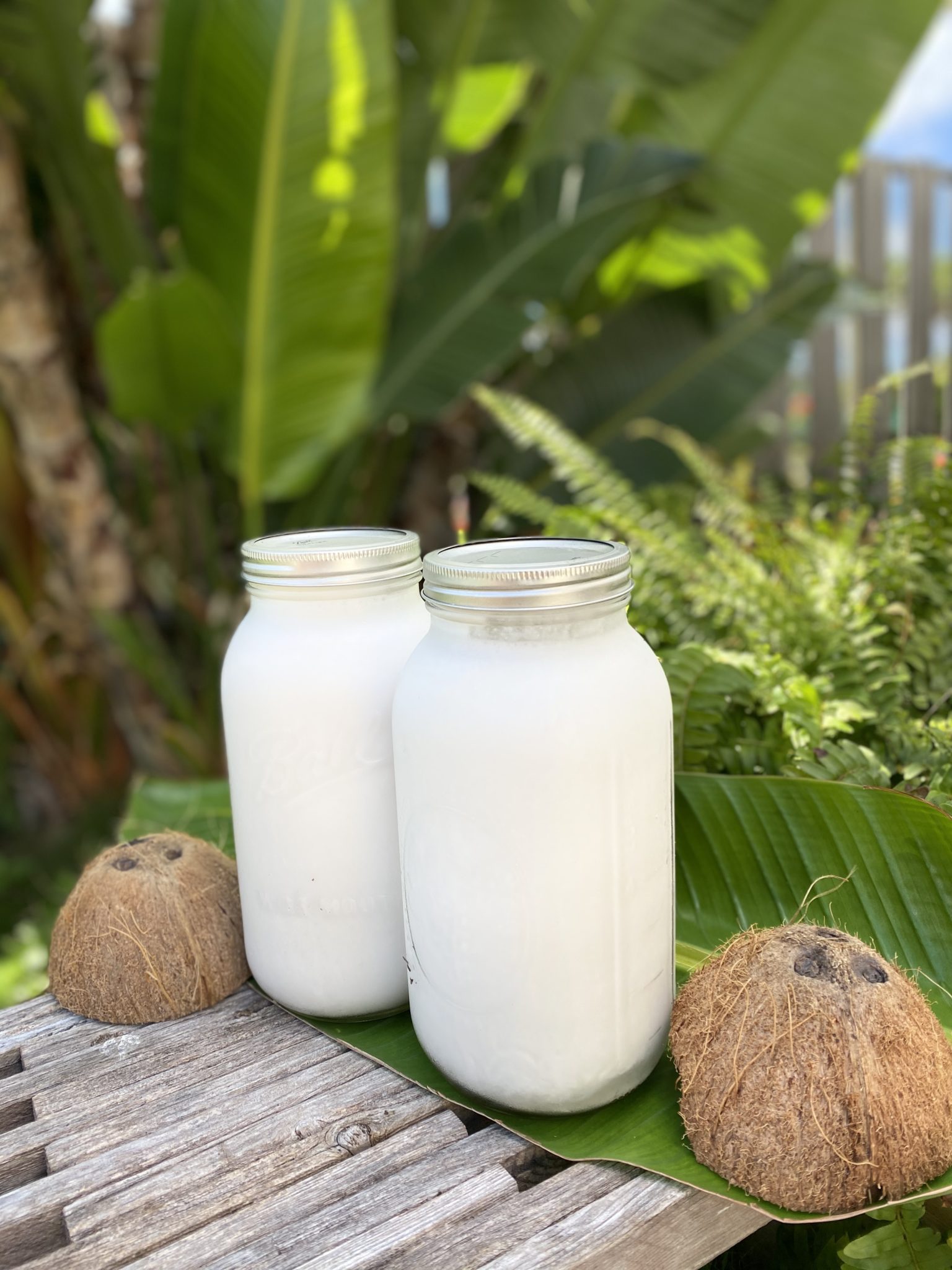 North Shore Coconut Milk Run – Koko Kai Coconut Yogurt